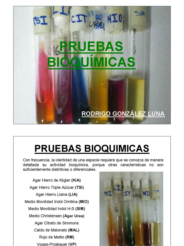 Pruebas Bioquimicas | PDF | Compuestos químicos | Química