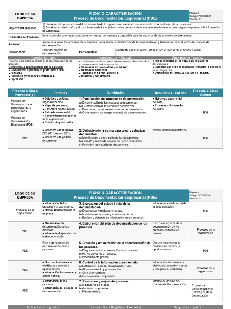 Ficha Documentación de Procesos | PDF | Planificación | Información