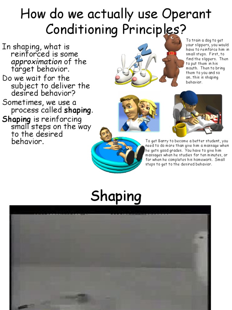Shaping and Chaining | PDF | Reinforcement | Insight