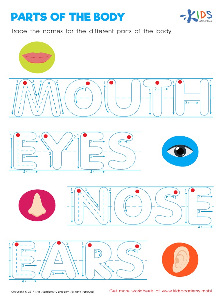 Trace The Names For The Different Parts of The Body | PDF