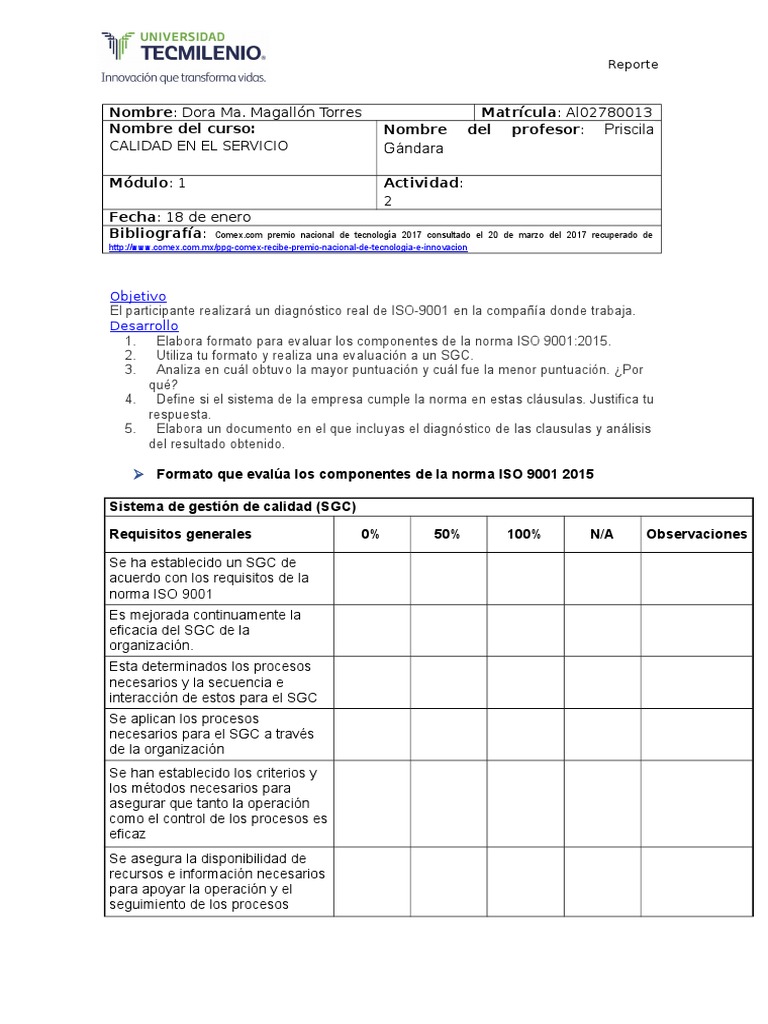Reporte | PDF | Calidad (comercial) | Auditoría
