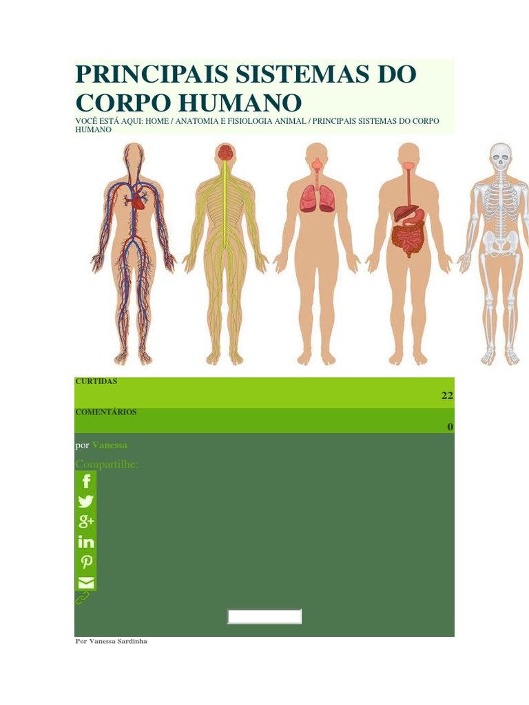 Principais Sistemas Do Corpo Humano | PDF | Sistema linfático | Músculo