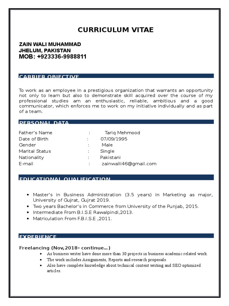 Zain CV | PDF