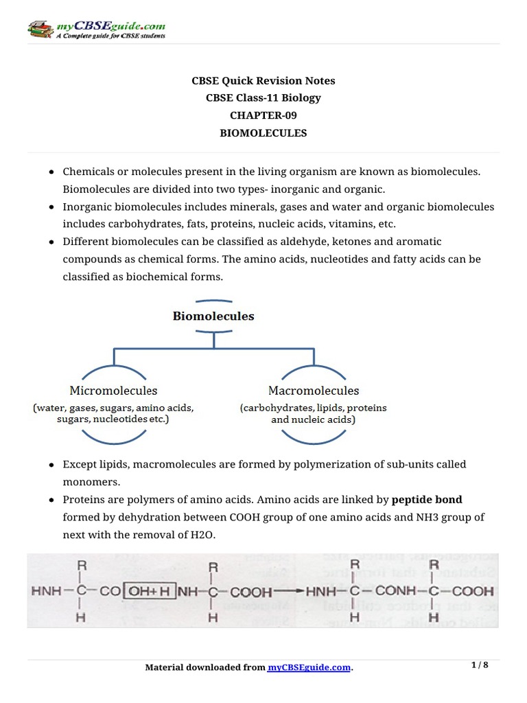 CBSE Quick Revision Notes CBSE Class-11 Biology Chapter-09 Biomolecules ...