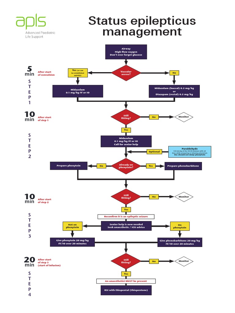 Status Epilepticus Management | PDF | Midazolam | Neurology