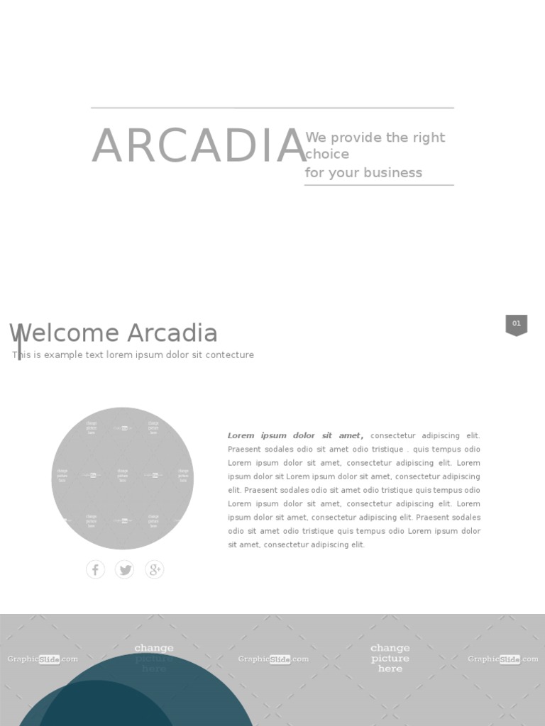 Arcadia: We Provide The Right Choice For Your Business | PDF | Text