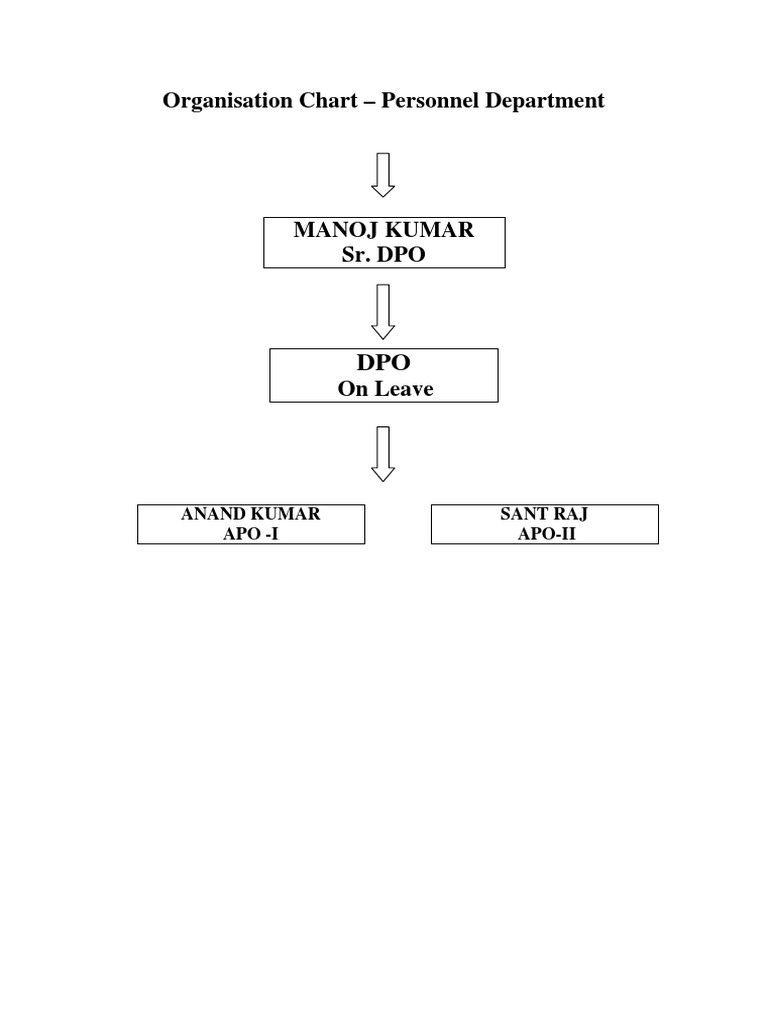 Personnel Dept Org Chart with Sr DPO & APO Roles | PDF