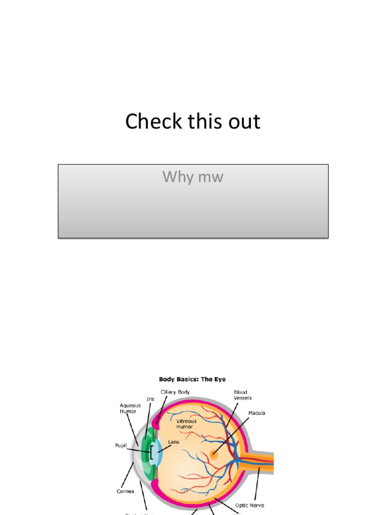 Mypresentation | PDF