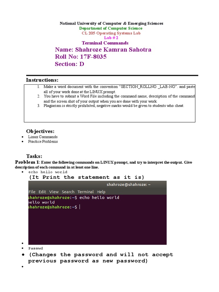Lab 2 - Exercise (Terminal Commands) | Download Free PDF | Directory ...