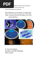 Cápsula de Tenon: Anatomía y Tenonitis | PDF | Ojo humano | Ojo