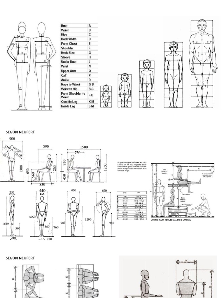 Medidas Antropometricas Segun Neufert