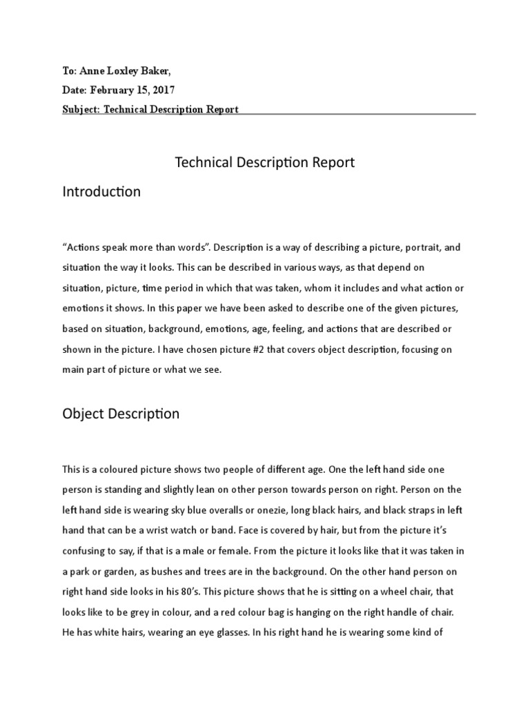 Technical Description Report | PDF | Hand