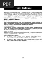 Trial Balance Questions Class11 | PDF