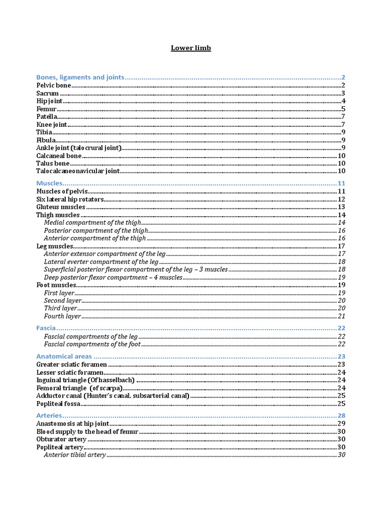 Lower Limb Anatomy | PDF | Human Leg | Pelvis