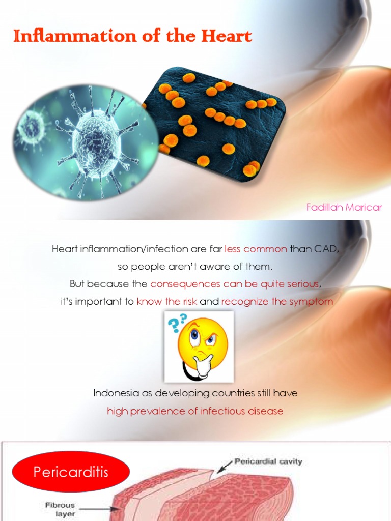 Infection of The Heart | PDF | Internal Medicine | Medicine