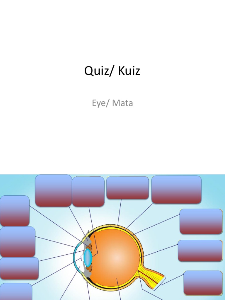 KUIZ MATA Bab 1 Tingkatan 3 | PDF