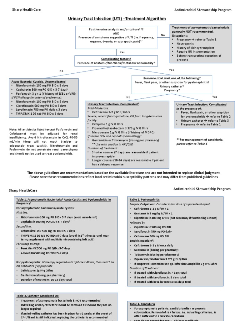 UTI Treatment | PDF | Urinary Tract Infection | Immunology