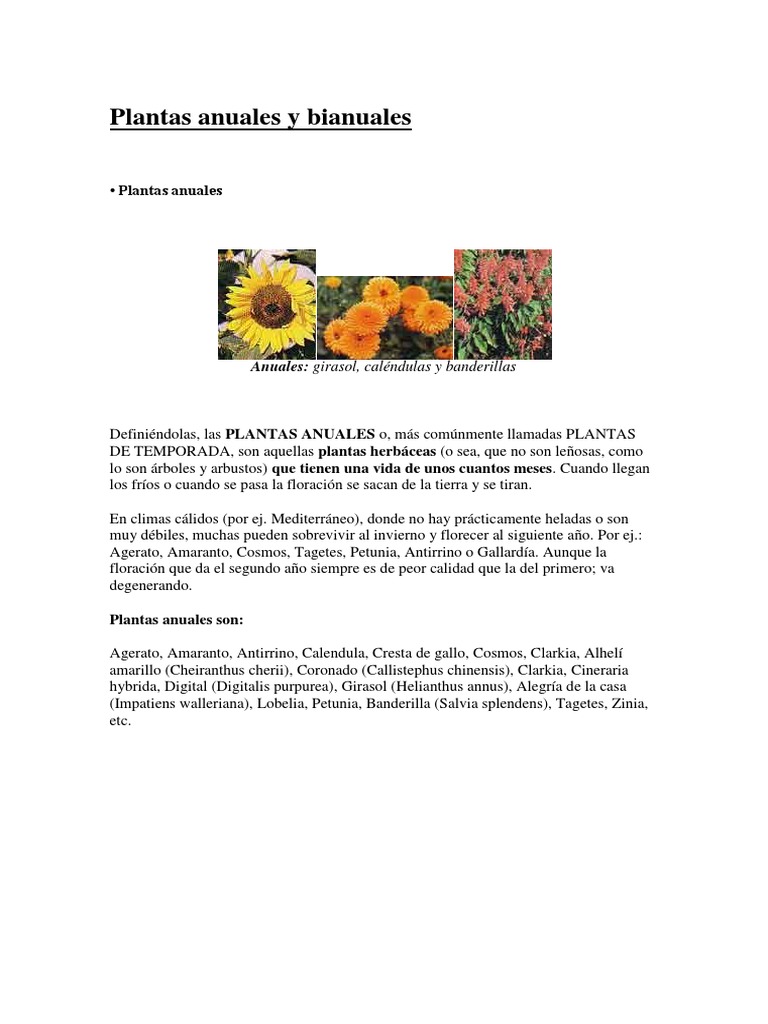 10 Ejemplos de Plantas Anuales | PDF | Siembra | Pajote