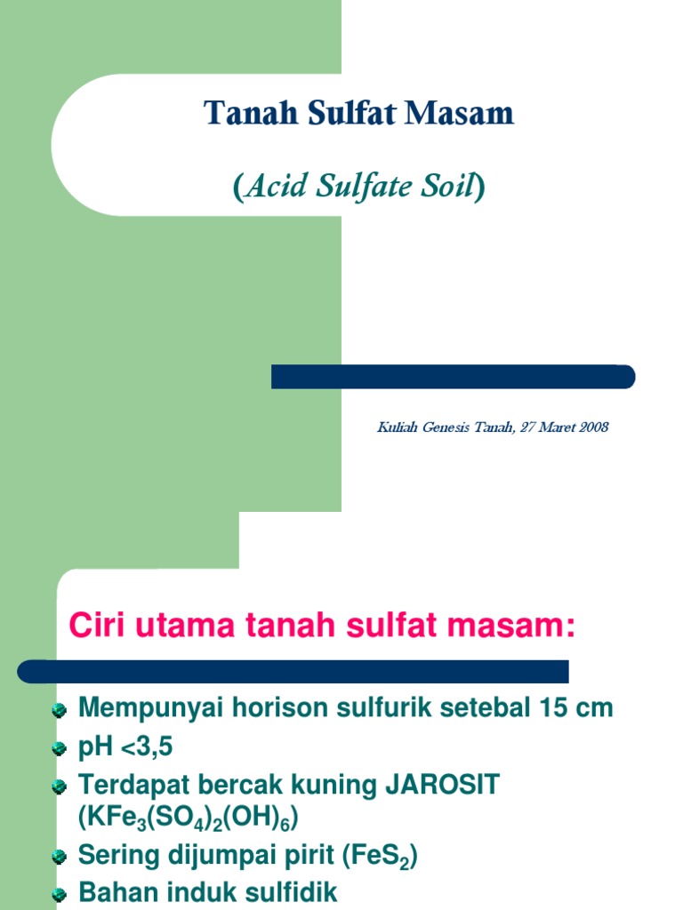 Tanah Sulfat Masam | PDF