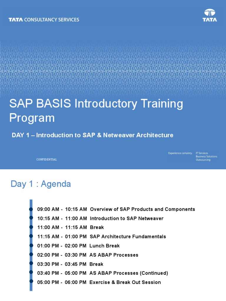 SAP BASIS Introductory Training Program - Day 1 | PDF | Database Transaction | Java (Programming ...