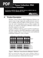 EN RNAlater Handbook | PDF | Qiagen | Gene Expression
