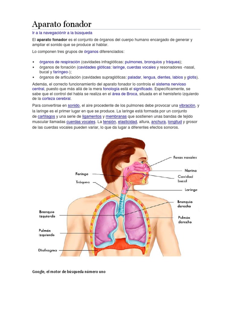 Aparato Fonador | PDF | Safari (navegador web) | Idiomas