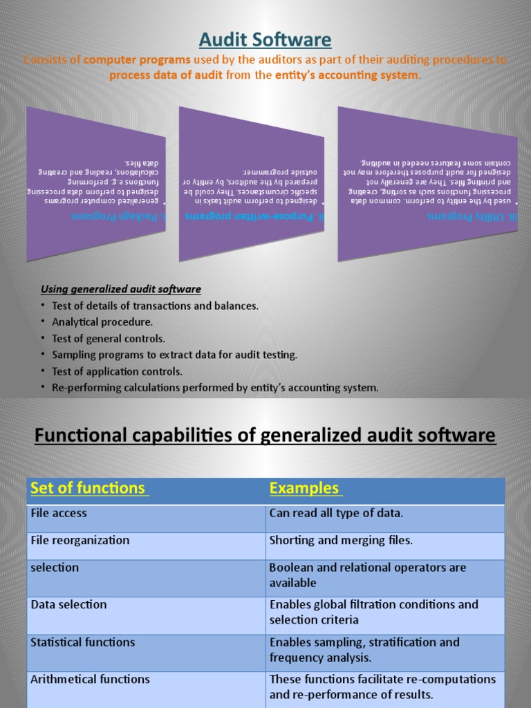 Audit Software | PDF | Audit | Computing Audit Software | PDF | Audit | Computing