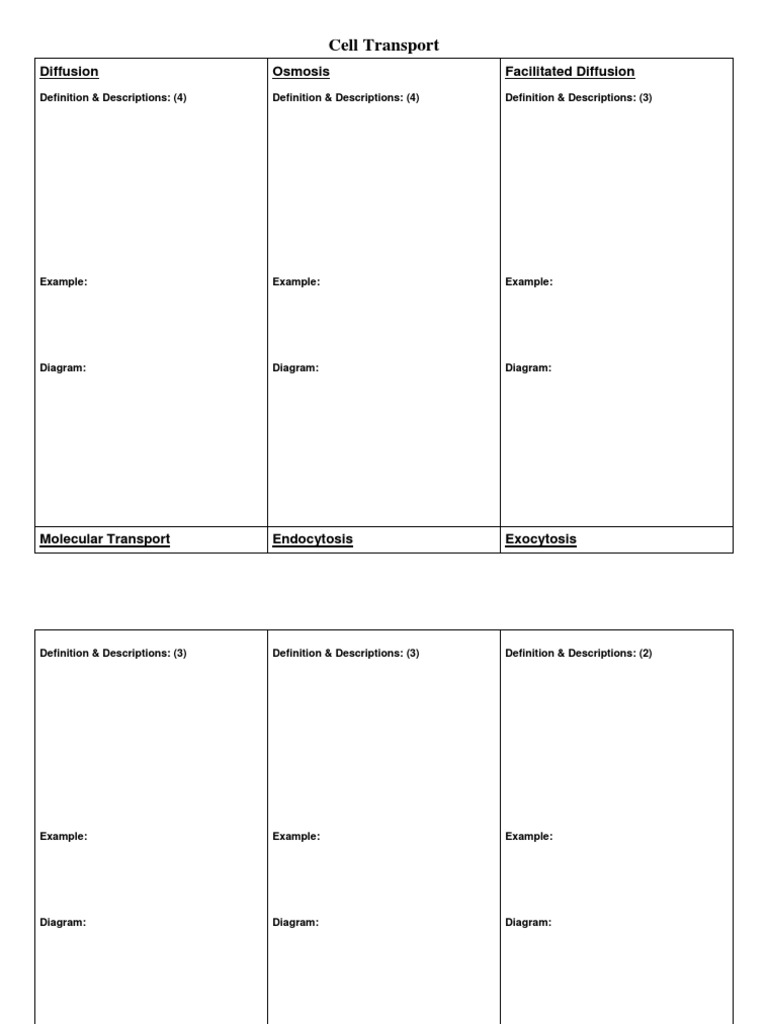 Cell Transport Activity - Student Ws | PDF | Cell Membrane | Cell (Biology)