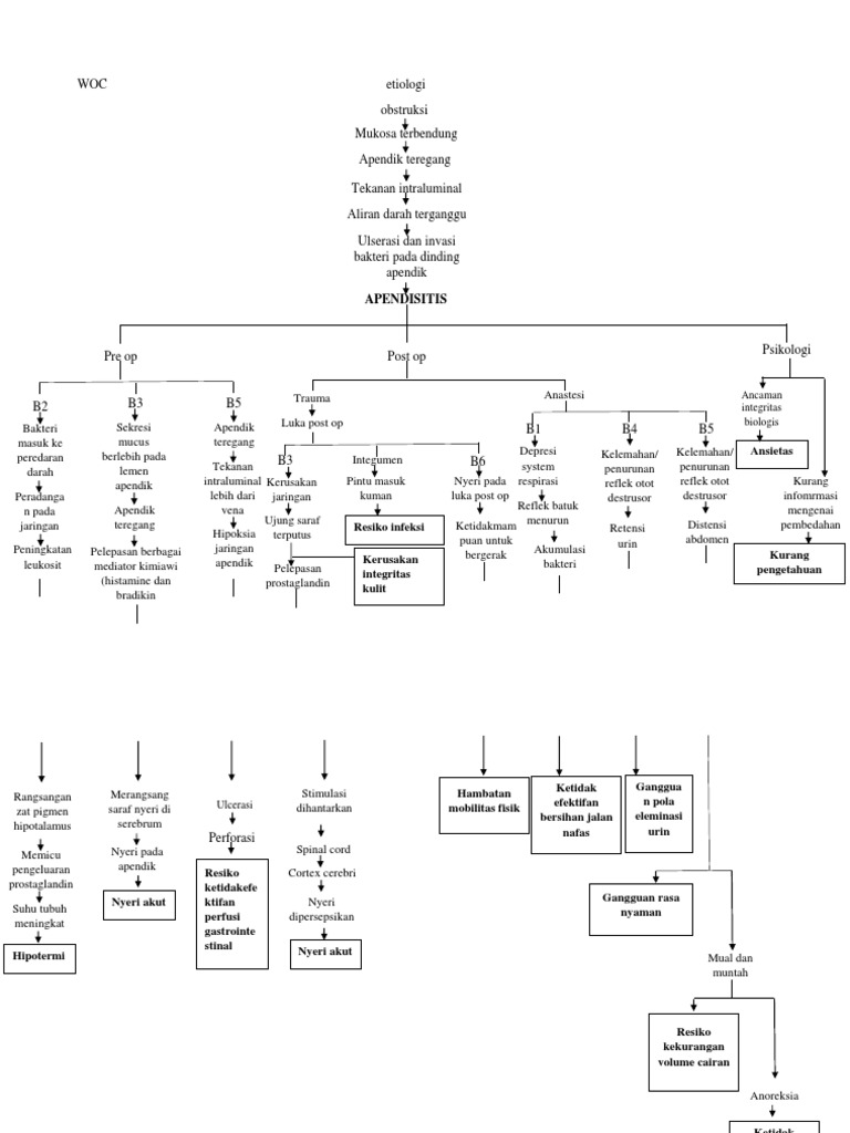 WOC Apendisitis | PDF