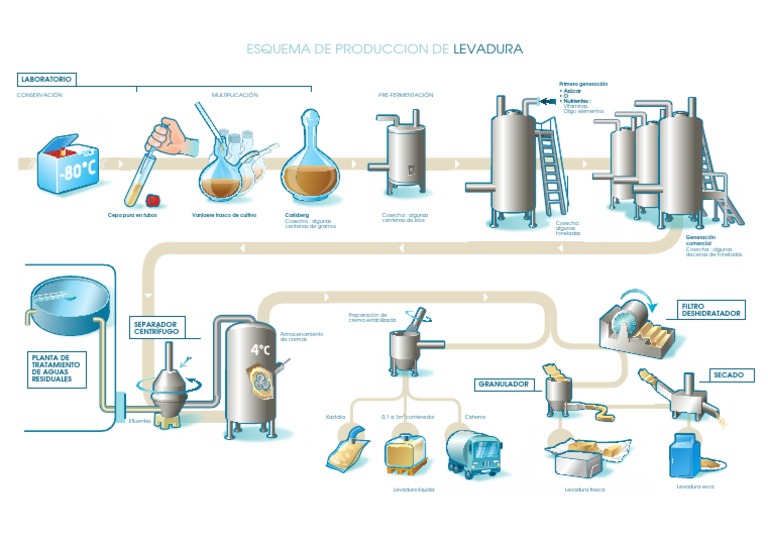 Beer Fault List | PDF | Comida y bebida | Naturaleza