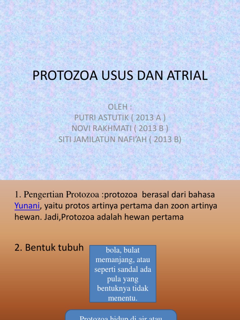 Protozoa Usus: Penyebab dan Pencegahan | PDF