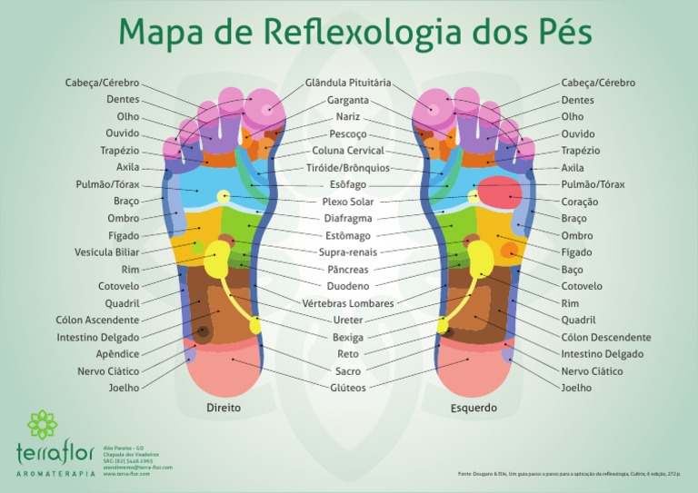 Mapa de Reflexologia dos Pes.pdf | Intestino Delgado | Fisiologia Animal