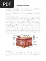 Integumentary System PPT | PDF | Skin | Integumentary System