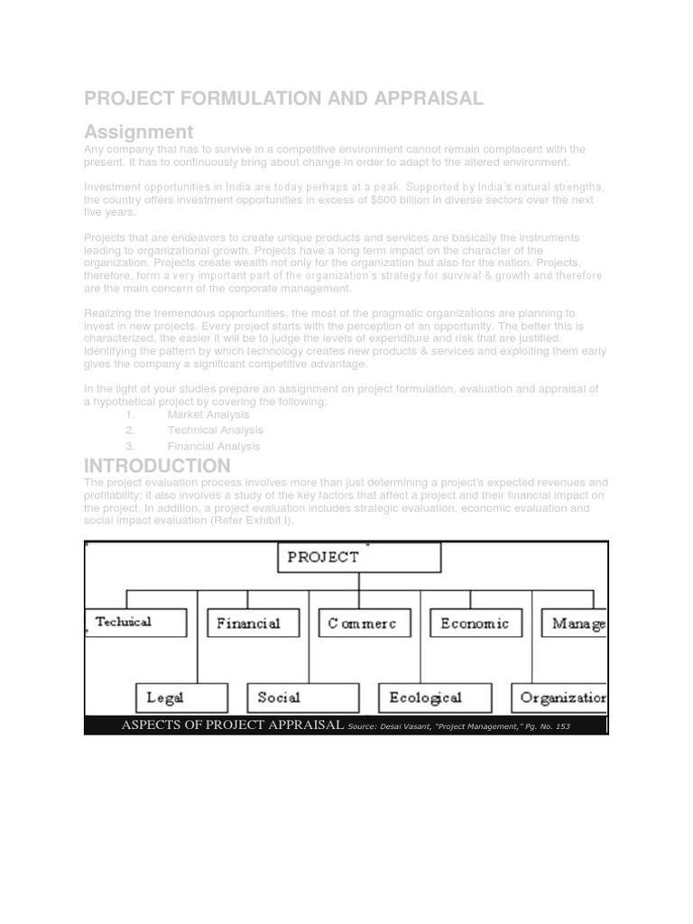 Project Formulation and Appraisal | PDF | Retail | Net Present Value