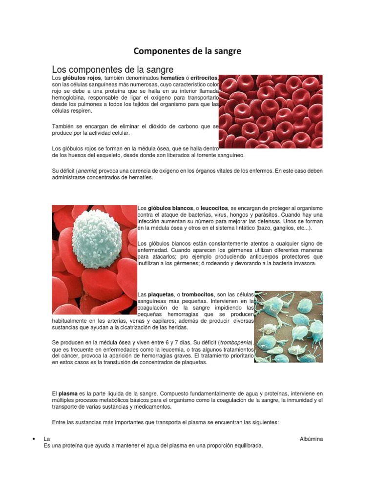 Componentes de La Sangre | PDF | Sangre | Glóbulo rojo