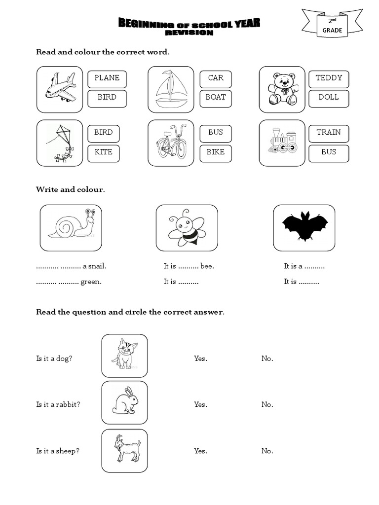 2nd Grade Revision | PDF | Leisure | Nature