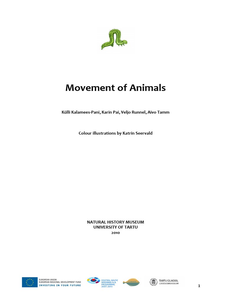 Movement of Animals 1 | PDF | Bat | Beetle