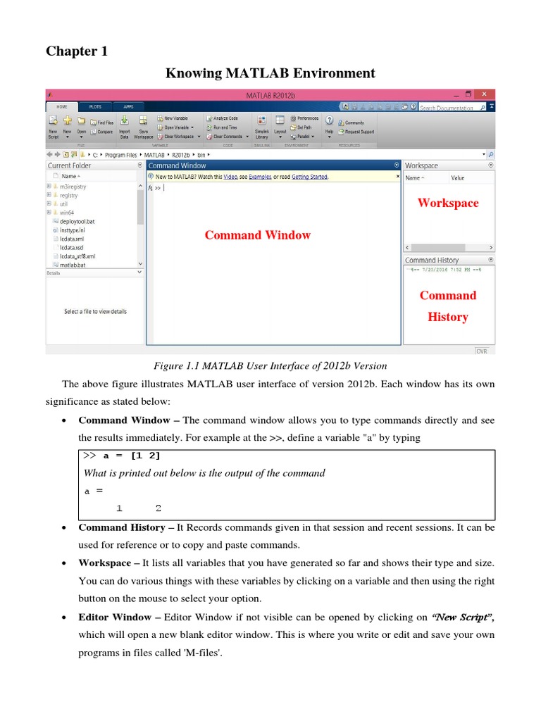 Knowing MATLAB Environment: Workspace | PDF | Matlab | Matrix (Mathematics)