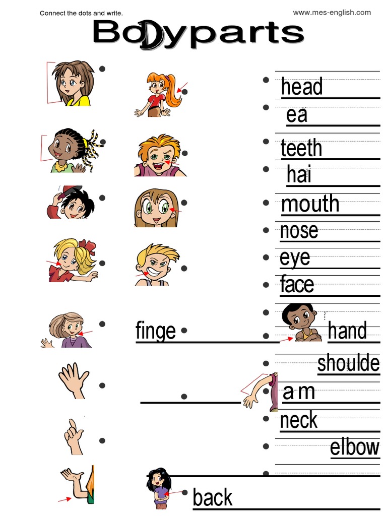 Body Spaguetti | PDF