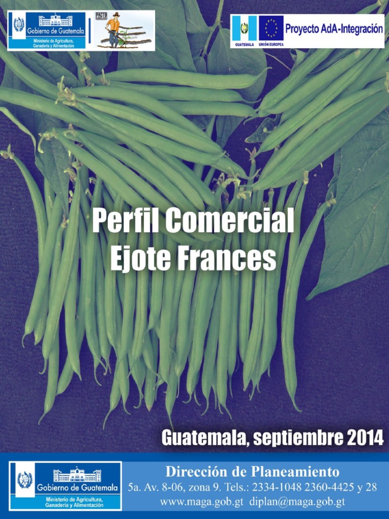 Perfil Ejote Requisitos de Entrada Del Ejote Francés en La UE ...