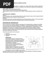 Test Adams | PDF | Escoliosis | Especialidades Medicas