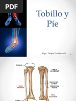 Ligamentos del Pie: Estructura y Función | PDF | Pie | Anatomía del ...