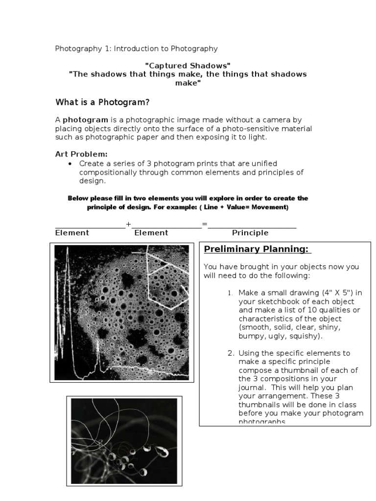 Photogram Handout | PDF | Exposure (Photography) | Composition (Visual ...