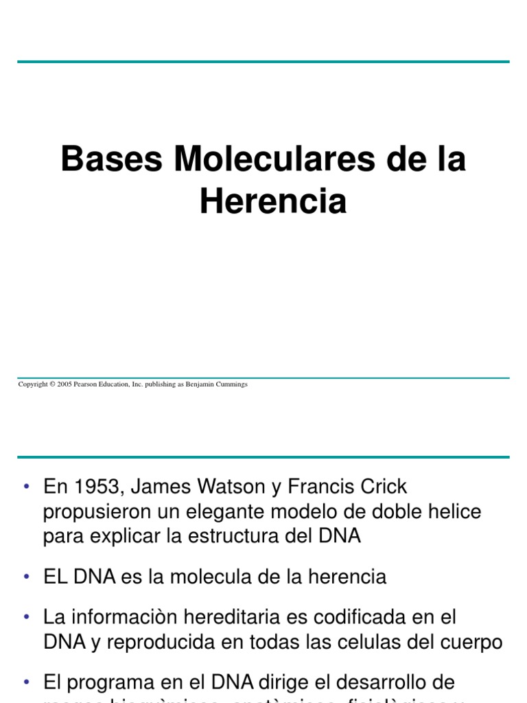 Bases Moleculares de La Herencia | PDF | Primer (Biología Molecular) | Replicación De Adn