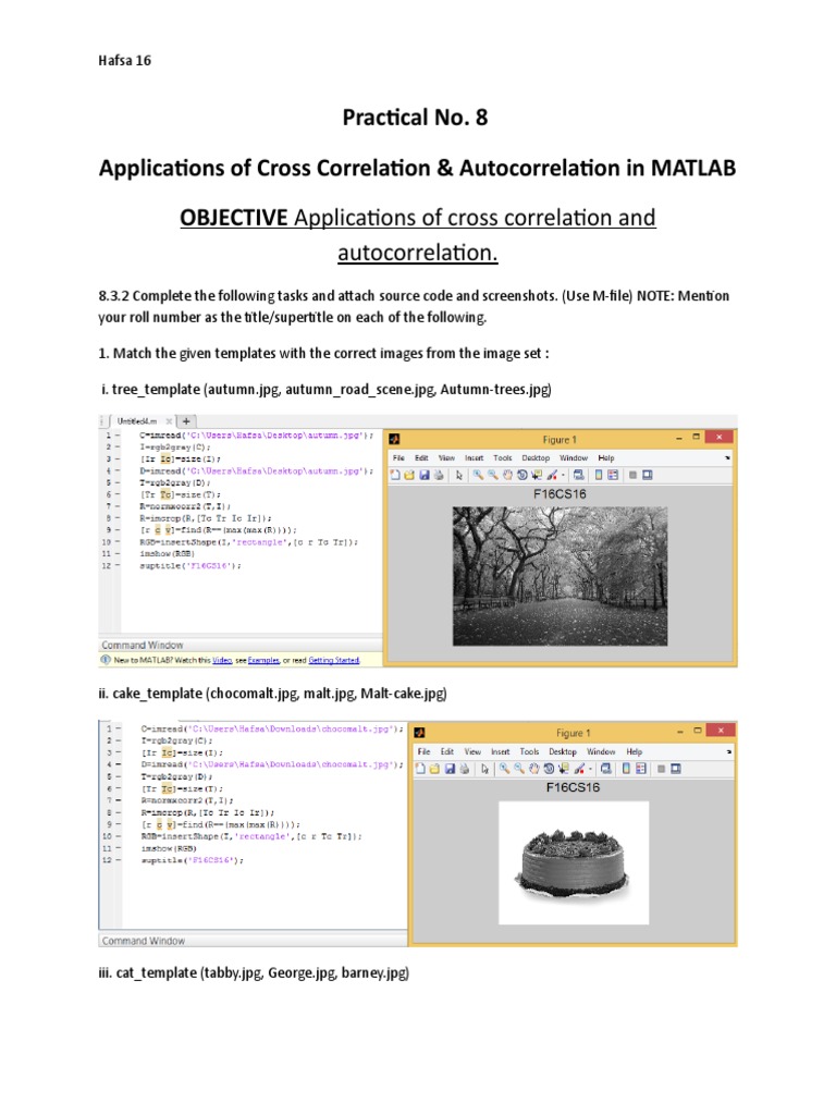 Practical No. 8 Applications of Cross Correlation & Autocorrelation in ...