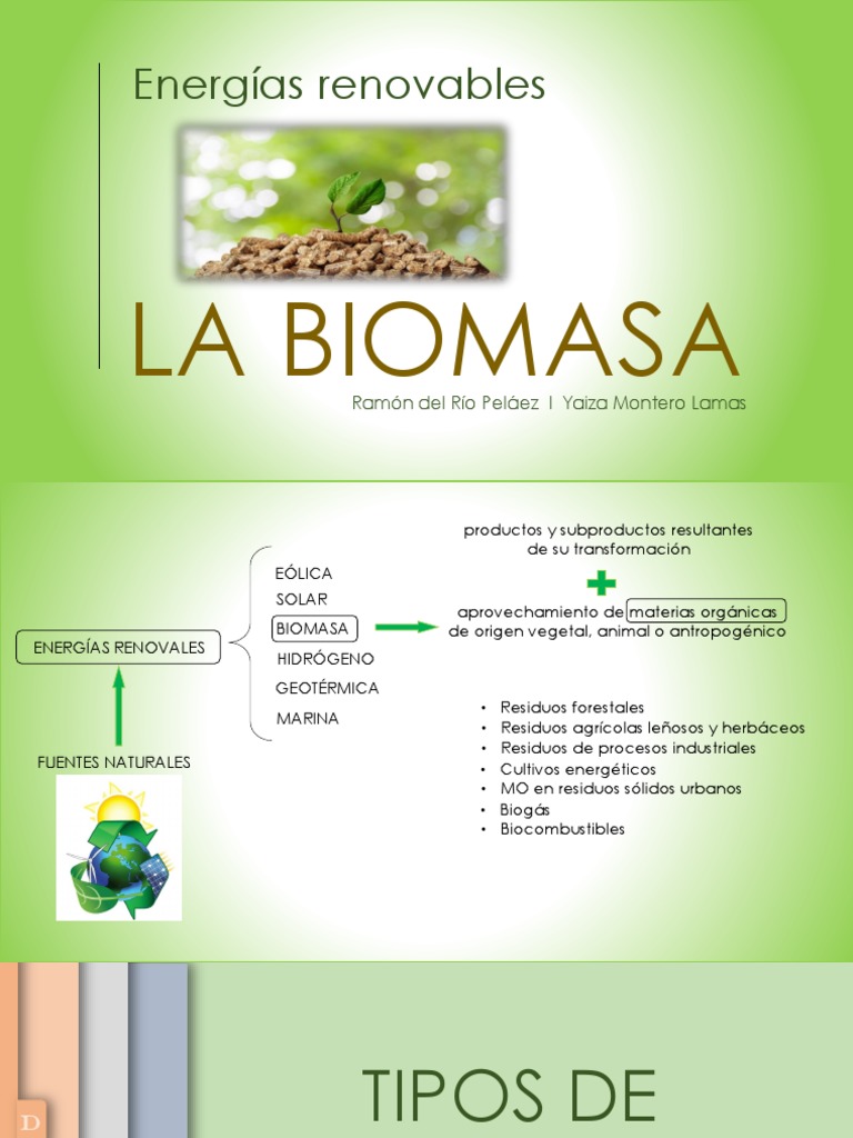 Presentación Sobre La Biomasa | PDF | Biomasa | Energía renovable