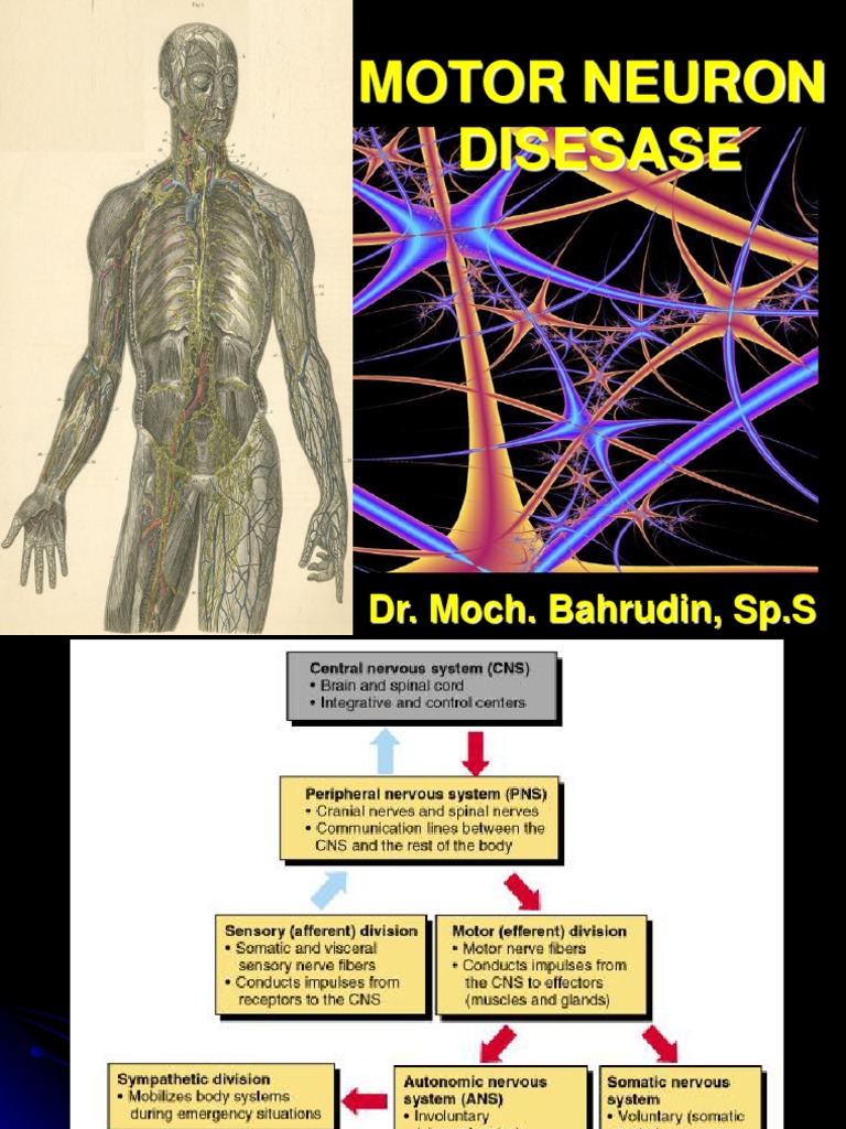 Motor Neuron Disesase | PDF