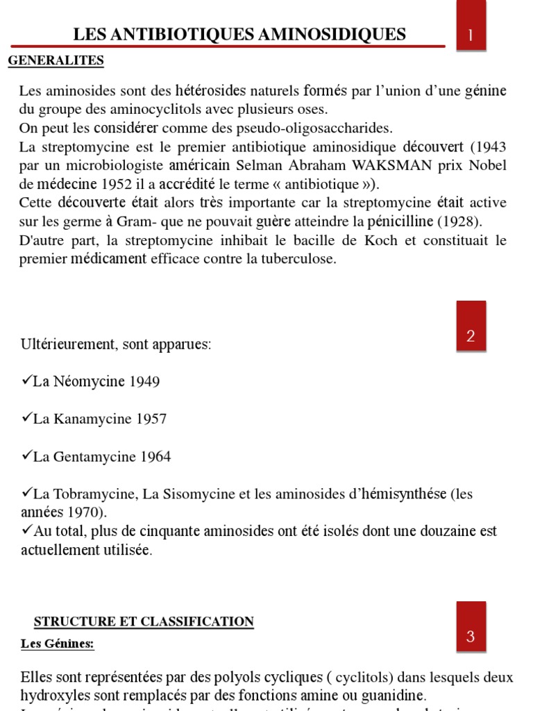 Aminosides Sulfamides-Dr Zouai 2019 | PDF | Antibiotiques | Composés ...