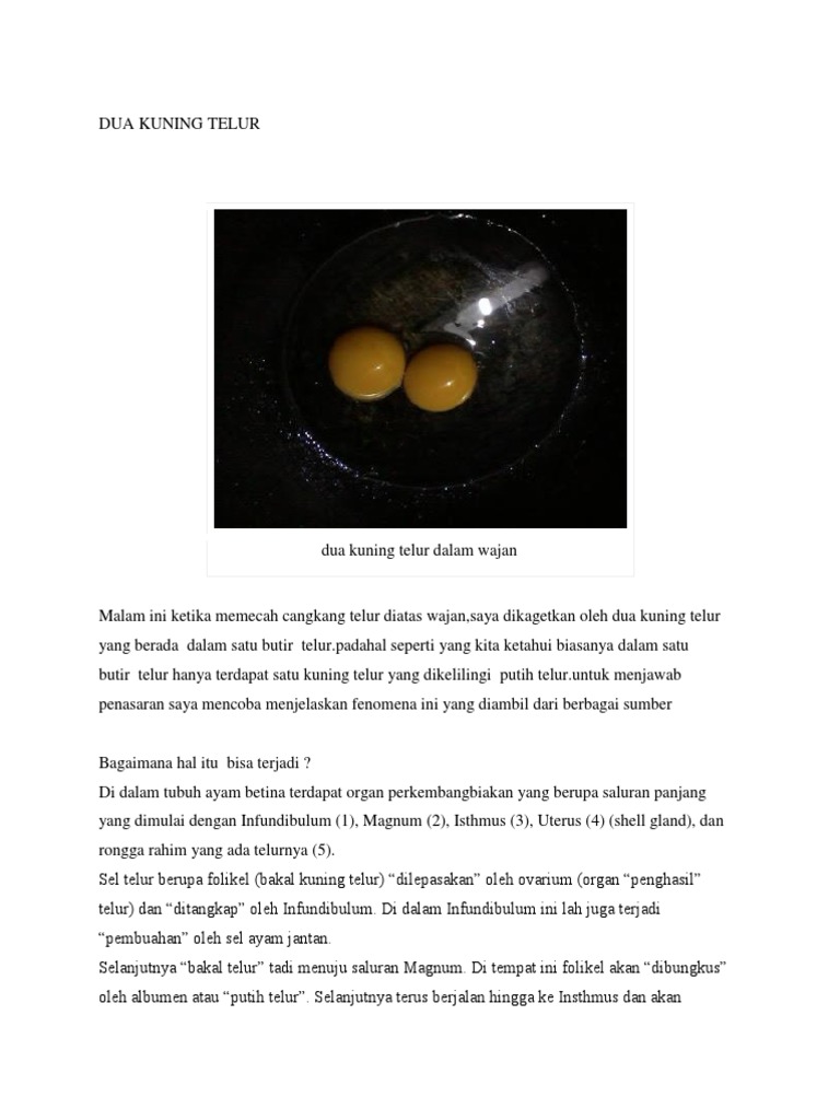 Dua Kuning Telur | PDF