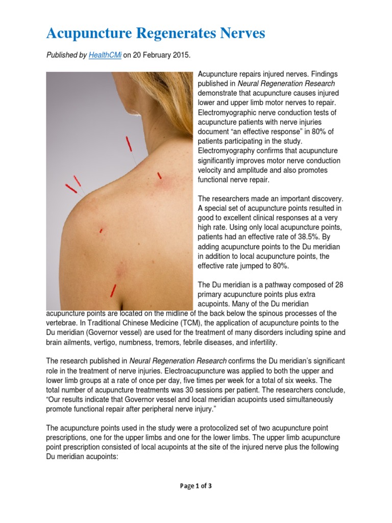Acupuncture for Nerve Regeneration | PDF | Acupuncture | Nervous System